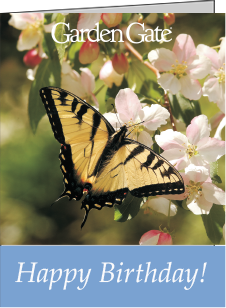 Gift Cards | Garden Gate